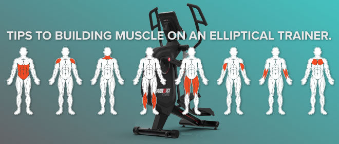 How to Build Muscle on an Elliptical – Diamondback Fitness